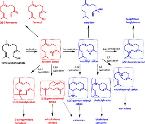 Terpene Structure Mcat