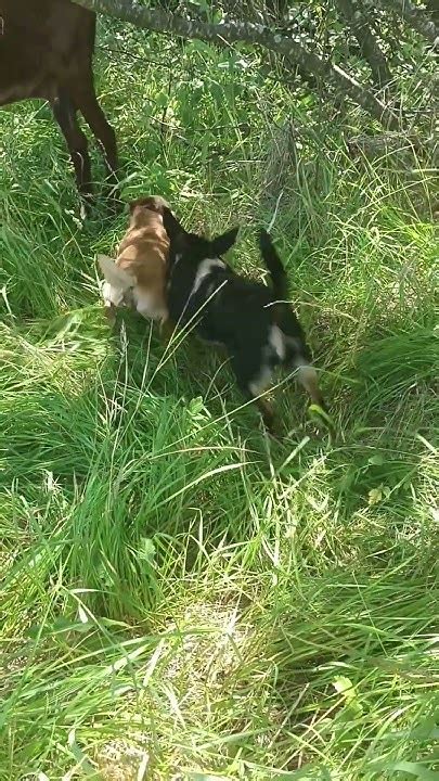 поиграй со мной Youtube