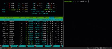 8个linux进程管理命令详解及示例（四）：kill、pkill 和 Killall 命令 技术栈