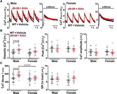 Differential Sex Dependent Susceptibility To Diastolic Dysfunction And Arrhythmia In