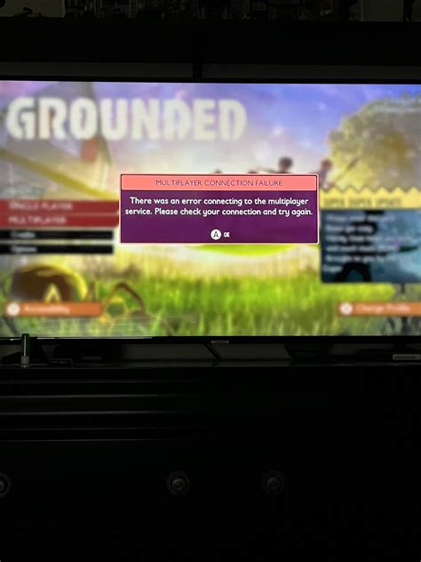 Anyone Else Having This Happen Despite Having Good Internet Connection R Groundedgame