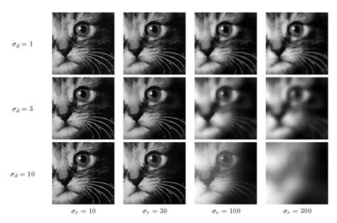 图像处理 双边滤波器 Bilateral Filtering For Gray And Color Images Csdn博客