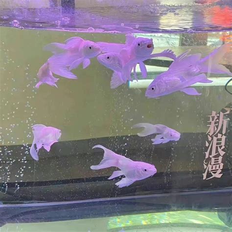 比较温柔的背景图 知乎