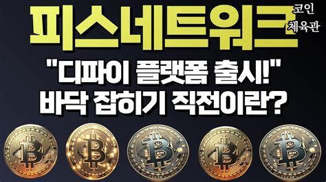 피스네트워크 코인 개발자 디파이 플랫폼 출시 바닥 잡히기 직전이란 피스네트워크코인 피스네트워크호재 피스네트워크전망 피스네트워크시세 피스네트워크가격