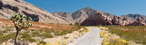 Designations Friends Of Gold Butte