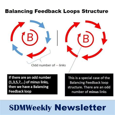 How To Know When Youre Dealing With A Balancing Feedback Loop In Your CLD SDMWeekly
