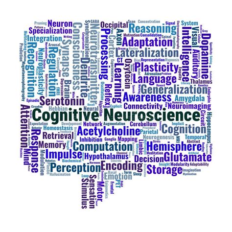 Cognitive Neuroscience Word Cloud Key Concepts In Brain And Mind