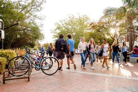stellenbosch university