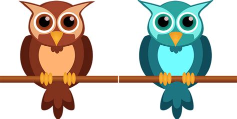 The Power Behind Odoo: Exploring OWL.js Framework | by Dheeraj Pandey | Medium