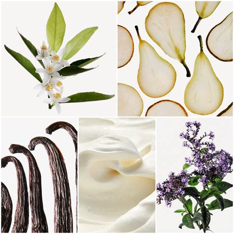 Perfume Dance Muse By Shakira Shakira Perfumes