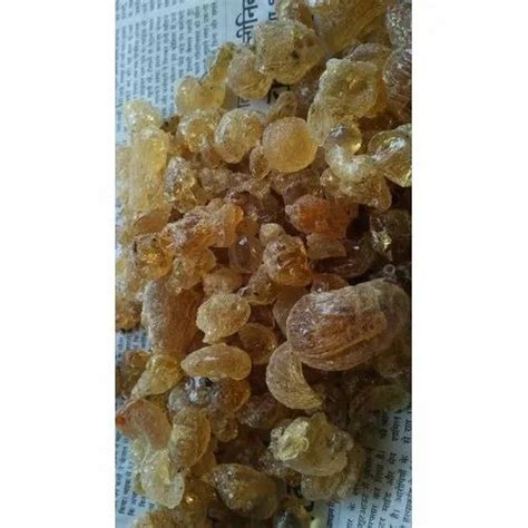 Babool Gum At ₹ 200kilogram Babool Gum In Kukshi Id 20671387555