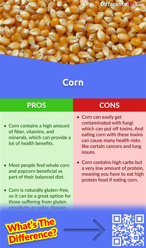 Corn Benefits And Cons At Terry Greene Blog
