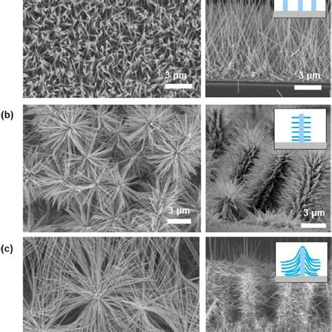 Sem Pictures Of The Zno Nanowire Hierarchical Nanostructures For A