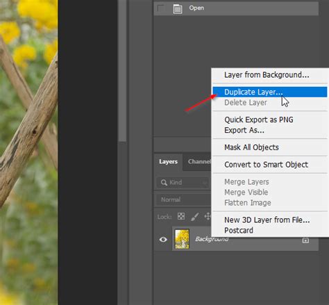 How To Pixelate An Image In Photoshop Psd Vault