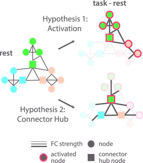 Proposed Factors Contributing To Task Fc Intrinsic Network Interactions