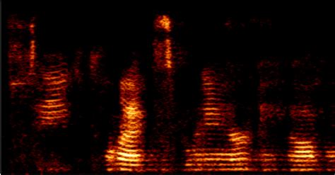Comparison Between Median And Max Pooling After First Stage Mvdr Download Scientific Diagram