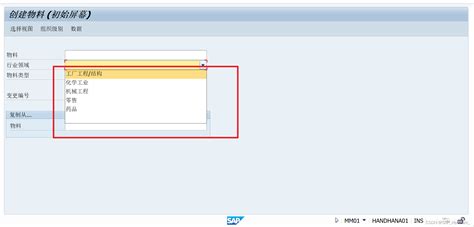 sap技巧篇（保持更新中） sap vl02n tab页面打开怎么固定到第一个 csdn博客