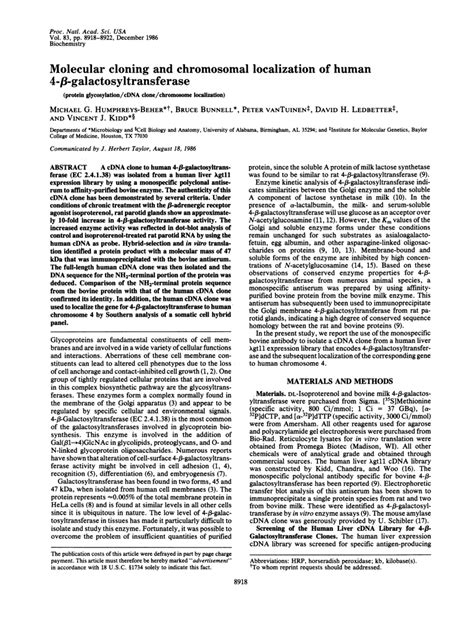 Pdf Molecular Cloning And Chromosomal Localization Of Human 4 B