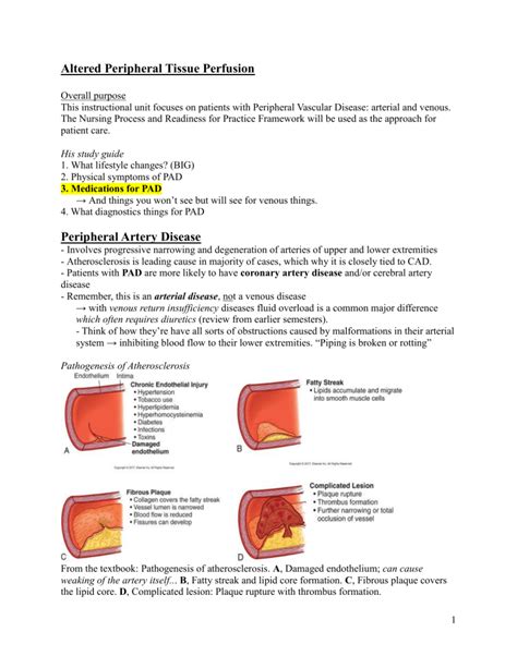 Altered Peripheral Tissue Perfusion