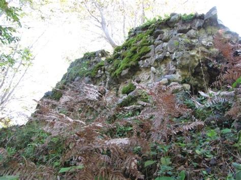 მეჩვიდმეტე საუკუნეში ძიმითში მოსახლე გვარები გურიის მოამბე