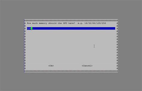 Raspberry Pi Camera Theme