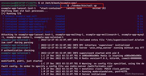 网络情况不佳，windows 下 laravel安装（docker） laravel项目没有vendor csdn博客