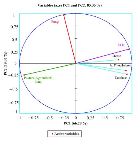 Principal Component Analysis Pca And Correlation Circle For Principal Download Scientific