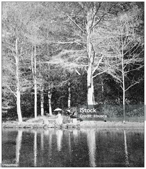 매사추세츠 주 햄든 카운티의 골동품 이미지 스프링 필드 포레스트 파크 연못 1890 1899 년에 대한 스톡 벡터 아트 및 기타