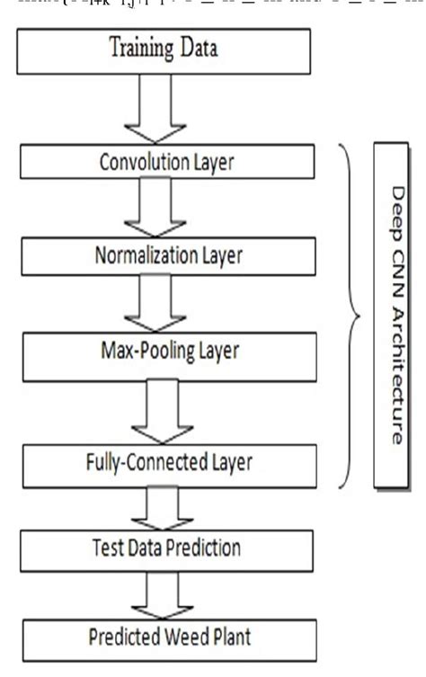 deep learning algorithms for weed identification