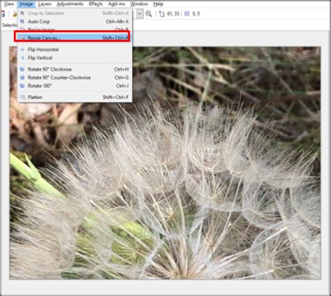 Adjust Canvas Size Pinta User Guide