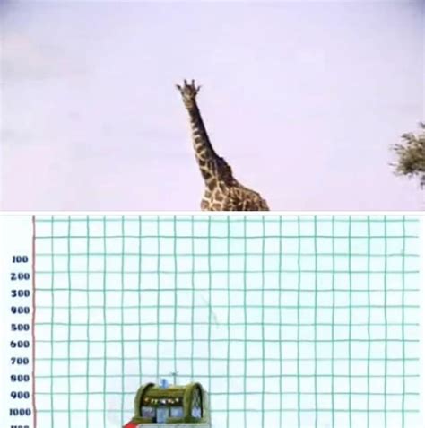 As You Can Tell By This Graph Ahem Graph Rspongebob