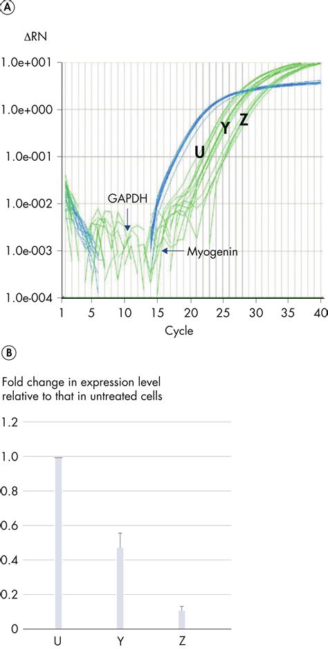 Quantifast Multiplex Rt Pcr Kits