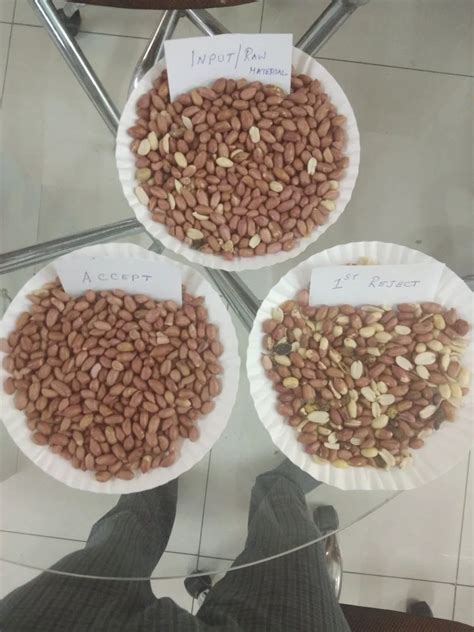 Automatic Powder Coated Peanut Sorting Machine Single Phase Capacity