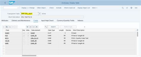 SAP ABAP Central Implementing DCL With CDS Views And Roles