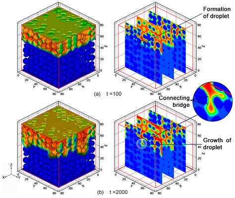 Entropy Free Full Text Three Dimensional Lattice Boltzmann Simulation Of Liquid Water