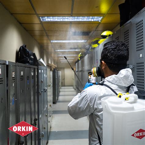 Orkin Chile Chileorkin Posts X