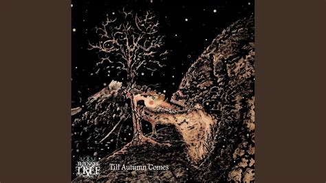 Autumn Falls Youtube