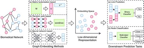 Pipeline For Applying Graph Embedding Methods To Biomedical Tasks Download Scientific Diagram