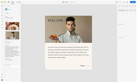 Panel Ux · Adobe Xd Plugin Reference