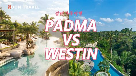 발리가족여행 우붓리조트 파드마 우붓 Vs 웨스틴 우붓 Soon Travel