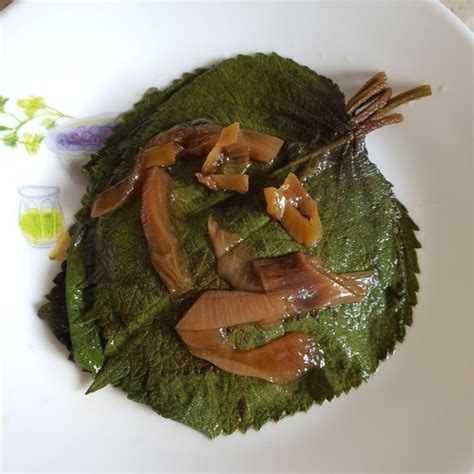 입맛 살리는 상큼 깻잎절임 깻잎조림