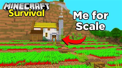 I Built A Huge Beetroot Farm In Minecraft 1 20 Survival Youtube