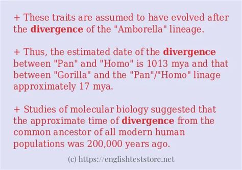 Divergence Some Sentence Examples Englishteststore Blog