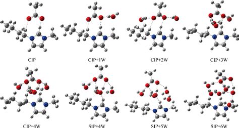 Optimized Structures Of The Contact Ion Pairs Cips And Download Scientific Diagram