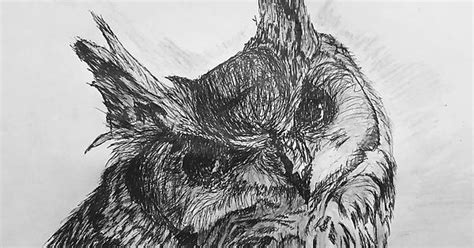 After 12 Hours A Sharpie Owl The Only Owl Sketch That Wasnt Crumpled And Or Burned Imgur