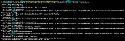 where does my code go wrong elementary python selenium chromedriver issue stack overflow
