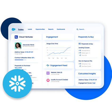 Snowflake Data Cloudパートナー セールスフォース・ジャパン