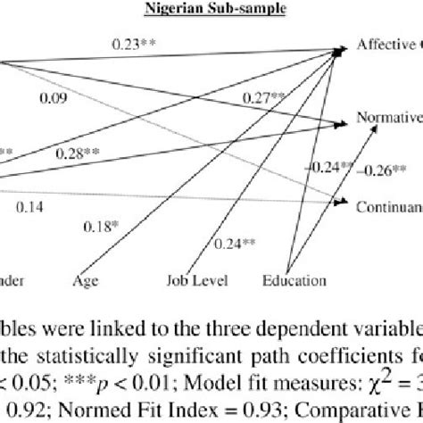 Standardized Path Coefficients For Model Predicting Three Types Of