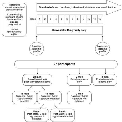 Study Schema And Participants Of The Clinical Trial A Study Schema