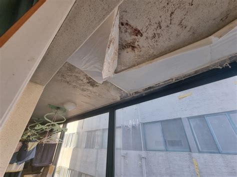 아파트 베란다 누수 탐지 비용 보일러 세탁기 본체 에어컨 수도관 우수관 배수관 배관 바닥 방수 곰팡이 빗물 결로 공용 피트 문제 검사 부분 수리 공사 전문 업체 네이버 블로그